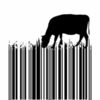 Online Barcode Shop | International Barcodes